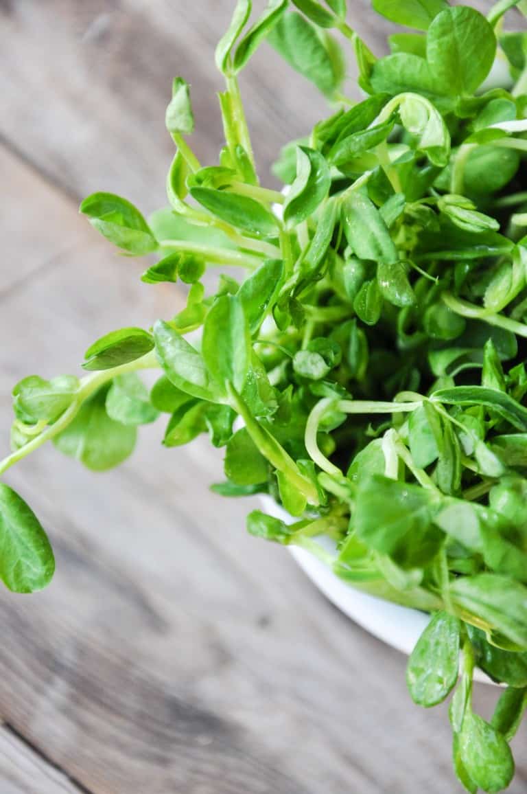 The Best Carrot Raisin Salad: California Sunshine Salad