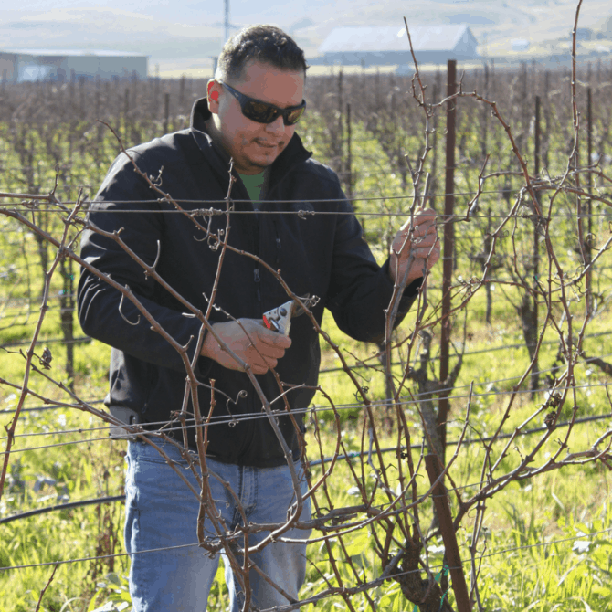 Meet a Farmer: Everardo Robledo of Robledo Family Winery - California Grown