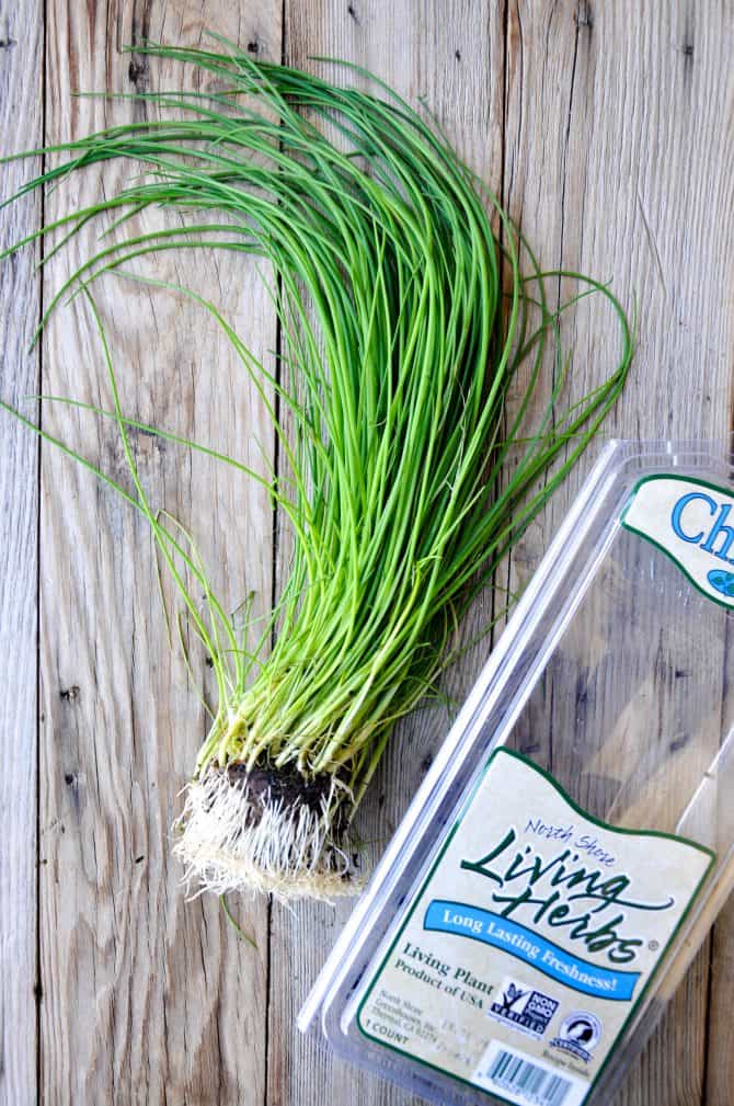 How to Make Chive Oil - California Grown