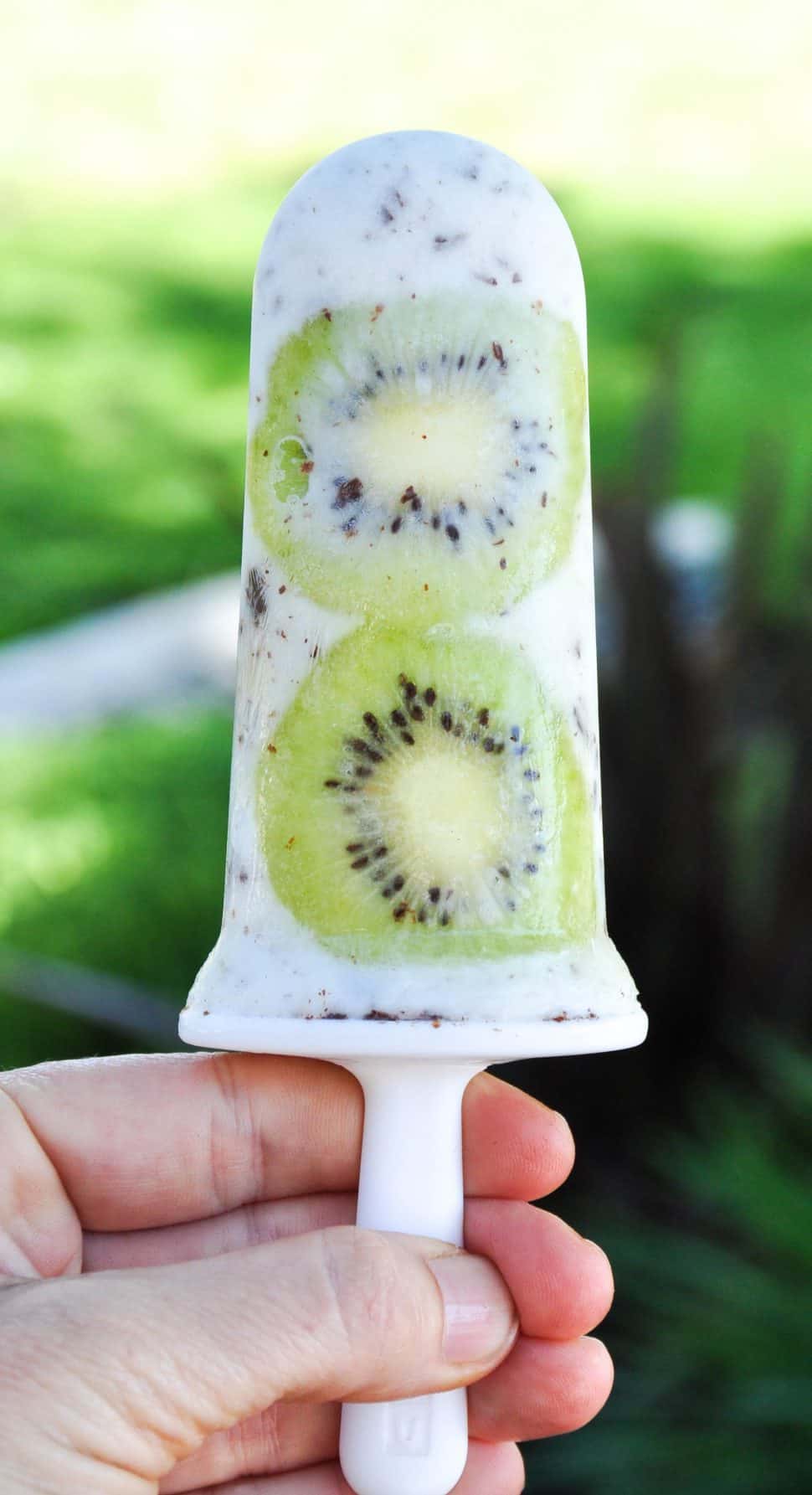 Over 20 Healthy Homemade Popsicles To Beat the Heat - California Grown