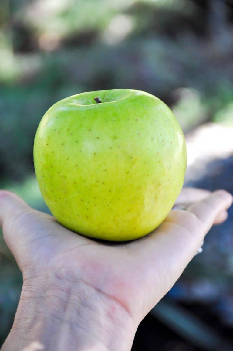 California Caramel Apple Hand Pies - California Grown