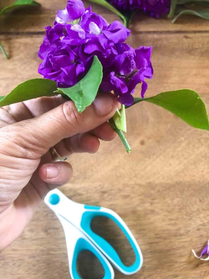 How to Make a Flower Crown - California Grown