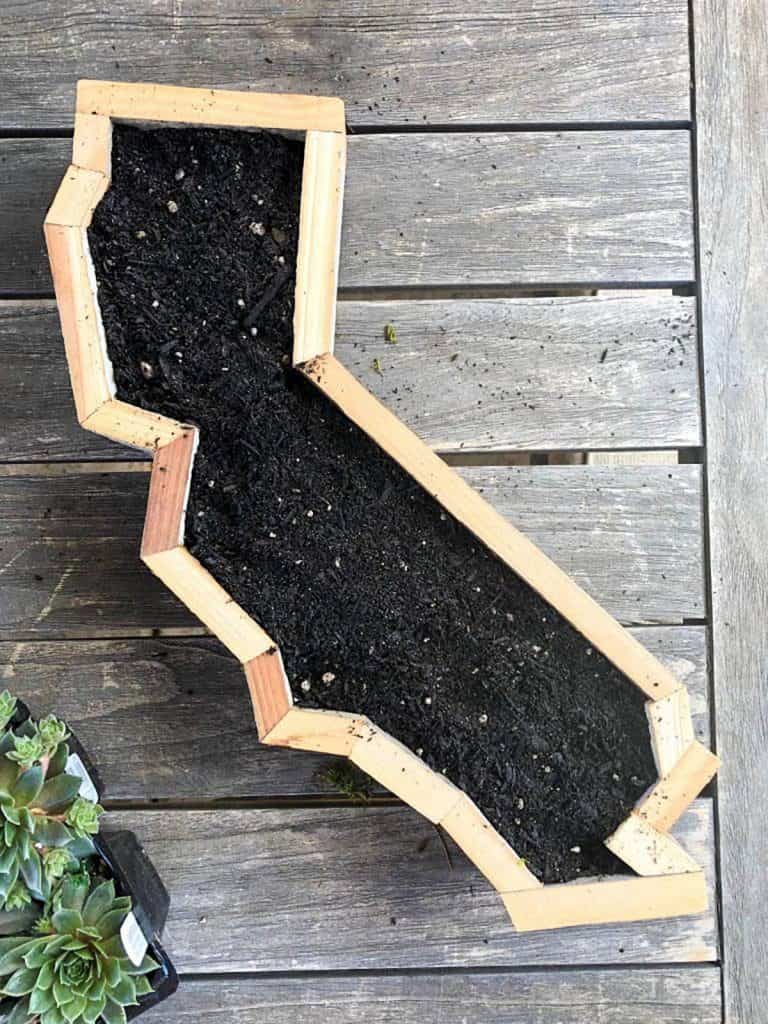 A Simple DIY for a Succulent Wall Planter - California Grown