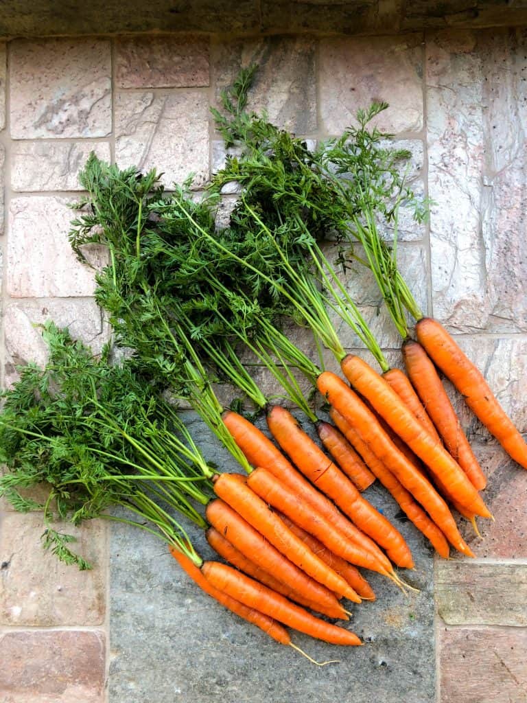 Living Cornucopia Centerpiece: DIY Edible Arrangement | CA Grown