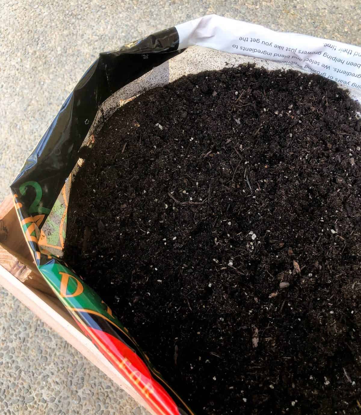 Soil Bag Container Gardening - California Grown