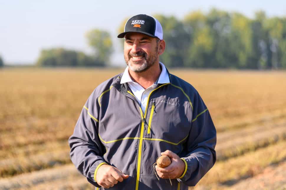 How Farmers Grow Sweet Potatoes in California - California Grown