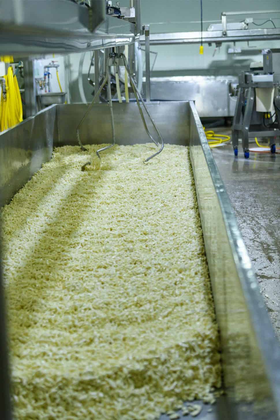 How Cheese is Made in California - California Grown