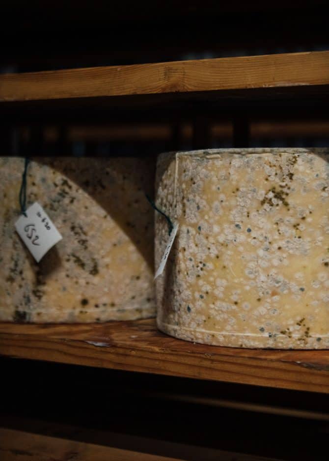 How Cheese is Made in California - California Grown