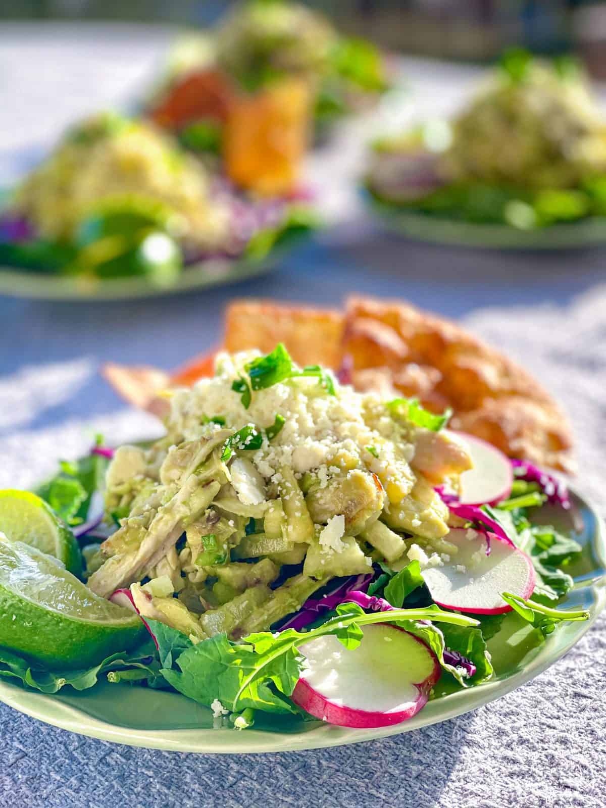 Tropical Chicken Tostada Salad - California Grown