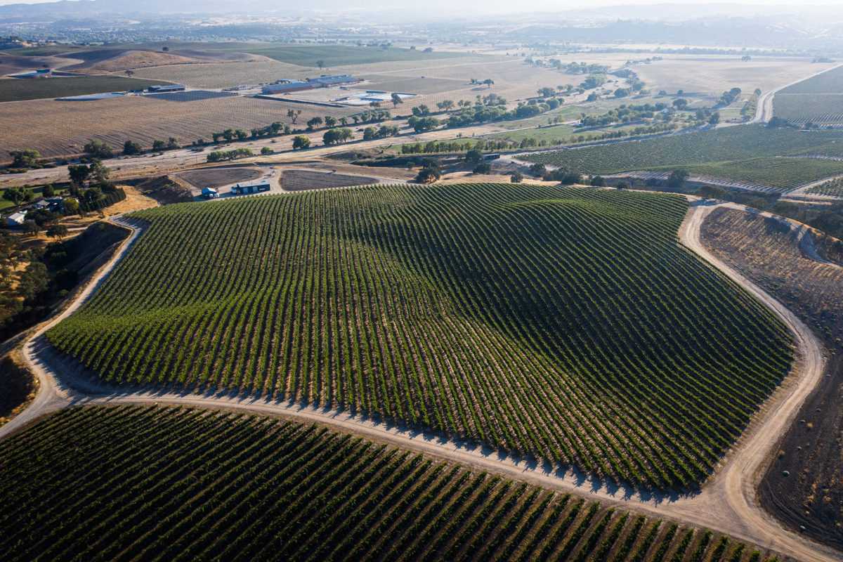 The Heart & Soul of California Wine Country - Paso Robles - California ...