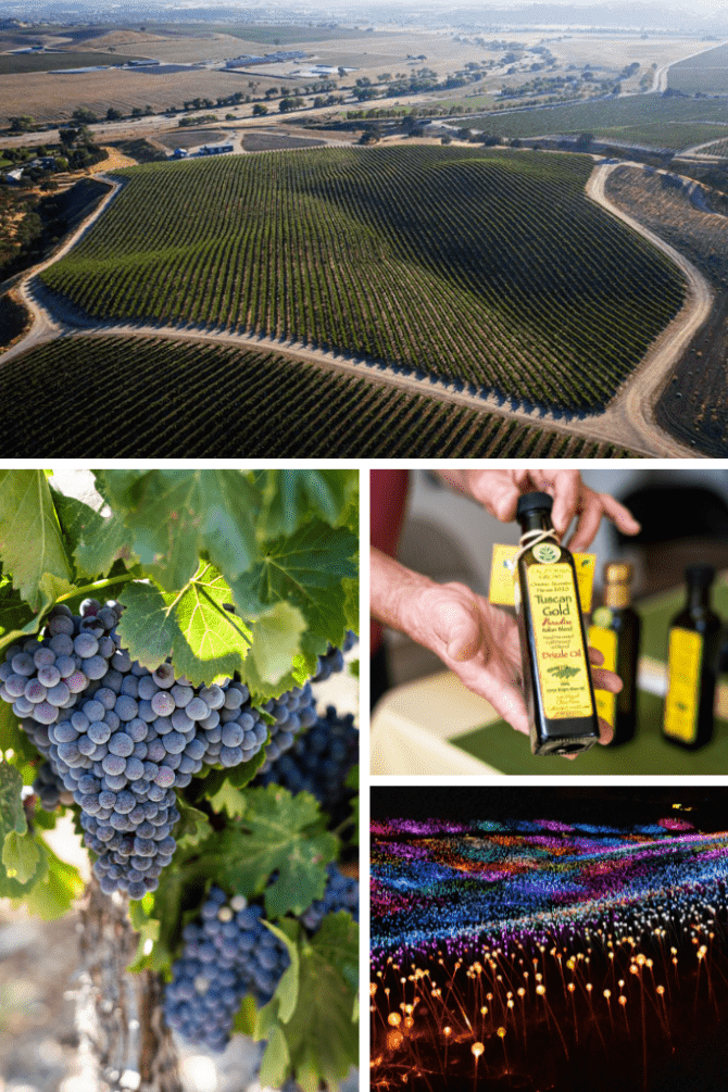 Vina Robles; Celebrating 25 Years Of Winemaking In Paso - California Grown