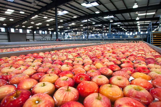 20 Apples Recipes that will Change your Life - California Grown