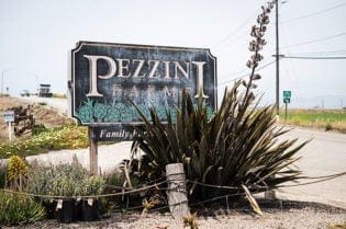 Celebrate The Best Of Artichoke Season At Pezzini Farms! - California Grown
