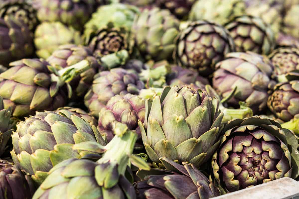 How To Eat Artichokes + Everything About Artichokes! - California Grown