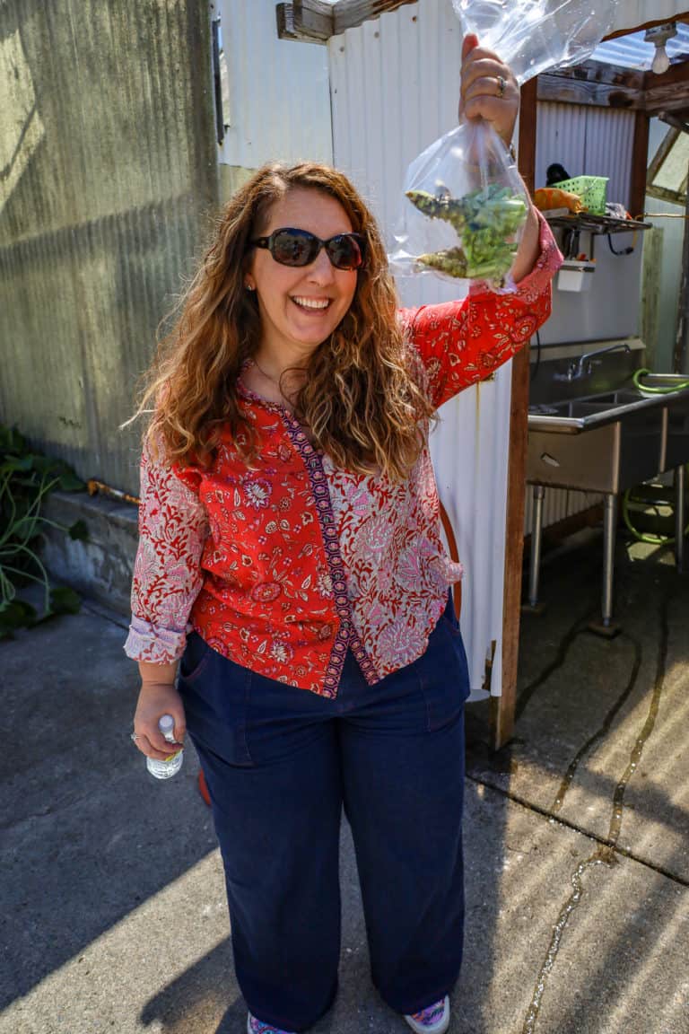 Learn How Wasabi Is Grown in California - California Grown