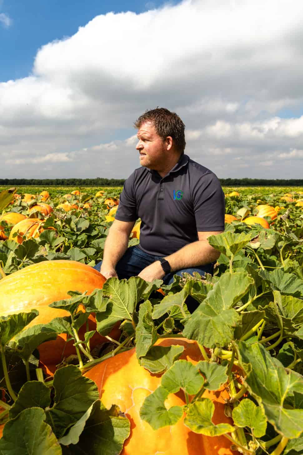 What's it like to be a Pumpkin Farmer? - California Grown