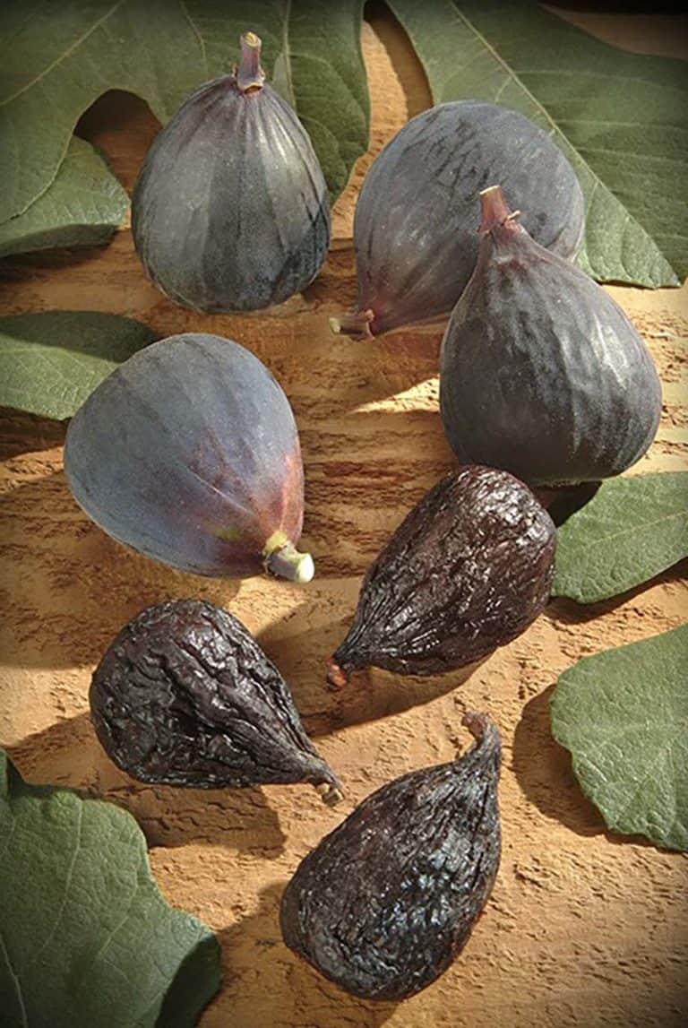 A Sensational Red Wine-Laced Recipe For Figgy Pudding | CA GROWN