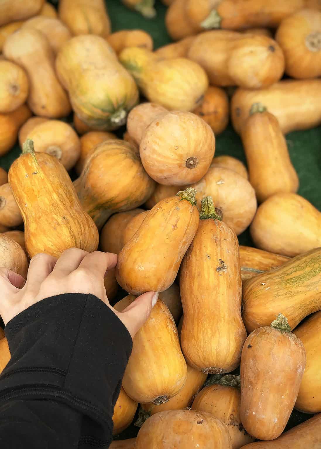 Everything You Need to Know About Honeynut Squash & How to Eat It ...
