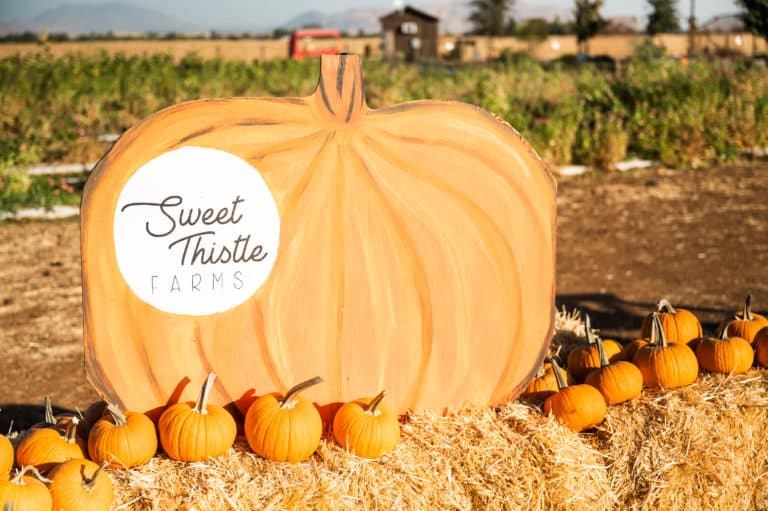 Pick Your Pleasure: A Guide to California's Best U-Pick Farms ...