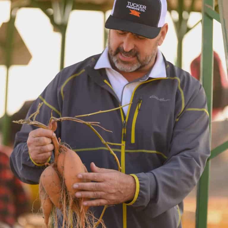 The Central Valley - A Great Place for Farming in California ...