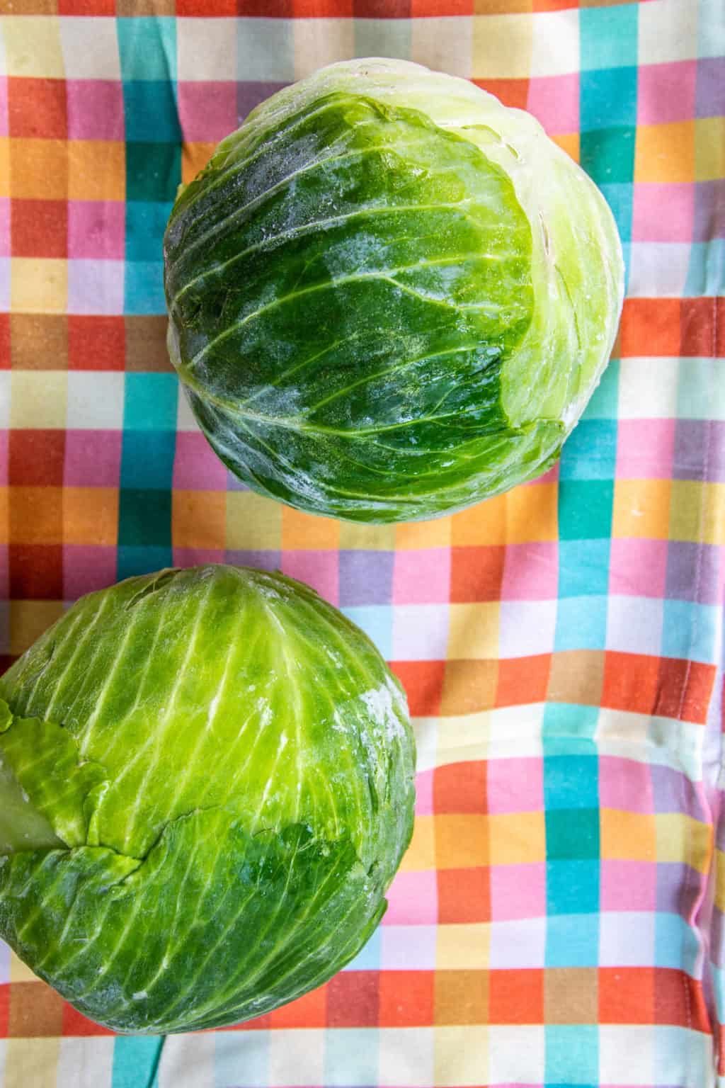 The Best Cabbage Roll Recipe With California-Grown Green Cabbage ...