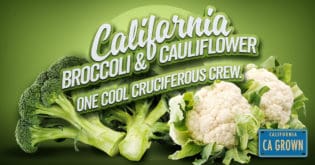 Broccoli Pesto - From Jessica of Big Delicious Life - California Grown