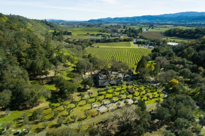 Vineyard Voyages: A Tasting Tour of California Wine Regions ...