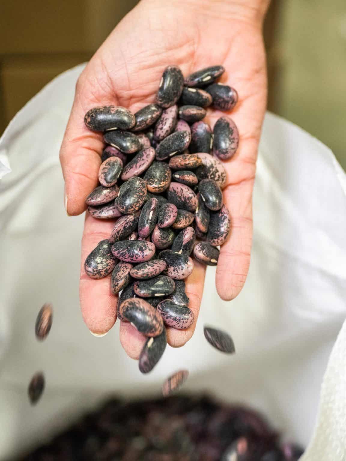 Beyond the Basic Bean Recipes - California Grown