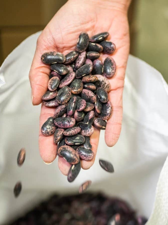 Beyond the Basic Bean Recipes - California Grown