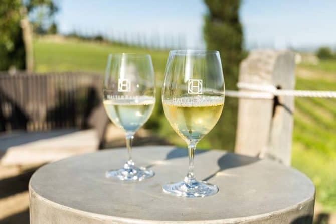 The Ultimate Guide to Wine Tasting at Halter Ranch in Temecula ...