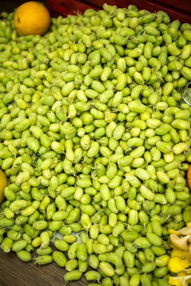 Chef Hany Ali's Fire Roasted Eggplant & Blistered Shishito Peppers ...