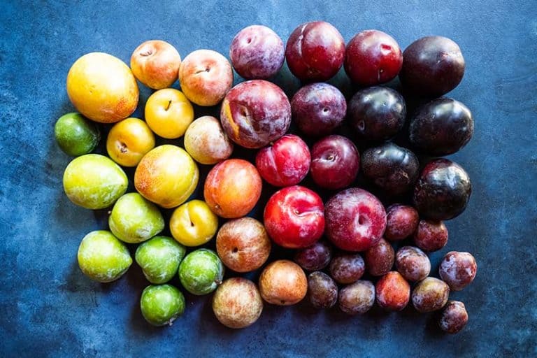 The Ultimate Guide To Pluots, Plums, And Prunes - California Grown