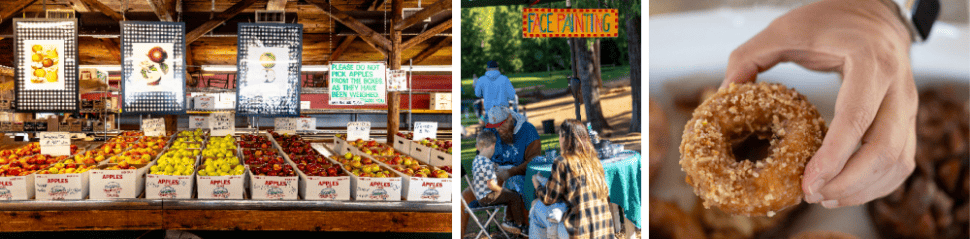 Add a Visit to High Hill Ranch to Your Fall Bucket List! - California Grown