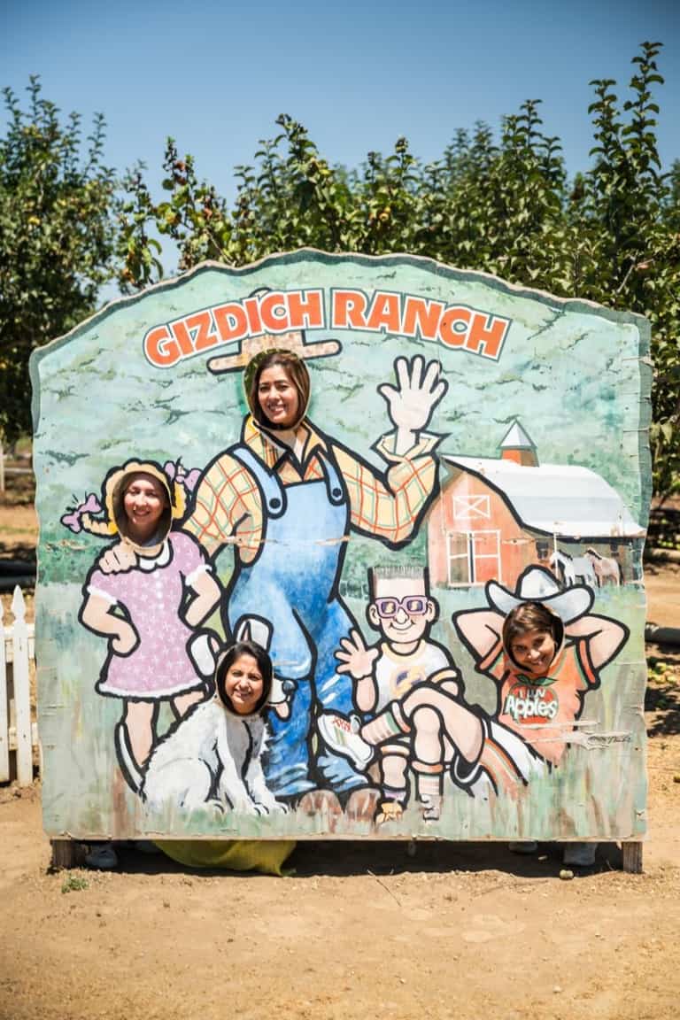 From Field to Fork: Exploring California through Farm Tours ...