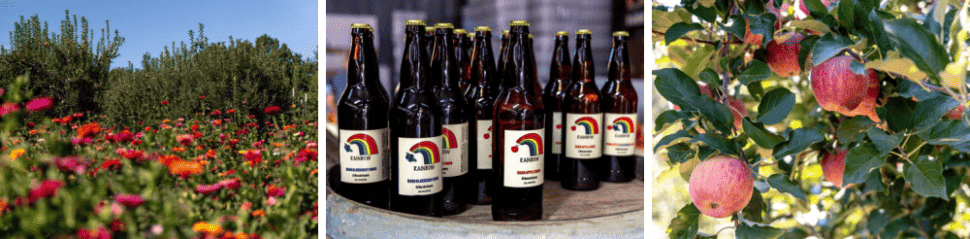 Add a Visit to High Hill Ranch to Your Fall Bucket List! - California Grown