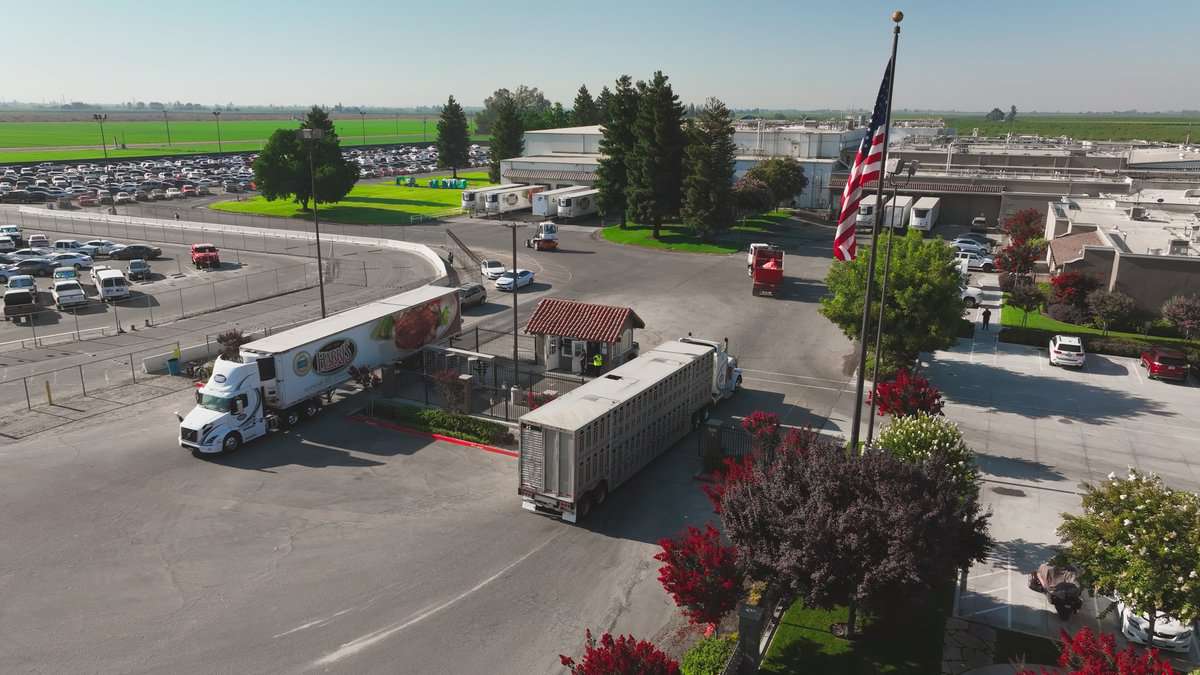 Savoring the Legacy: The Juicy History of Harris Ranch Beef ...