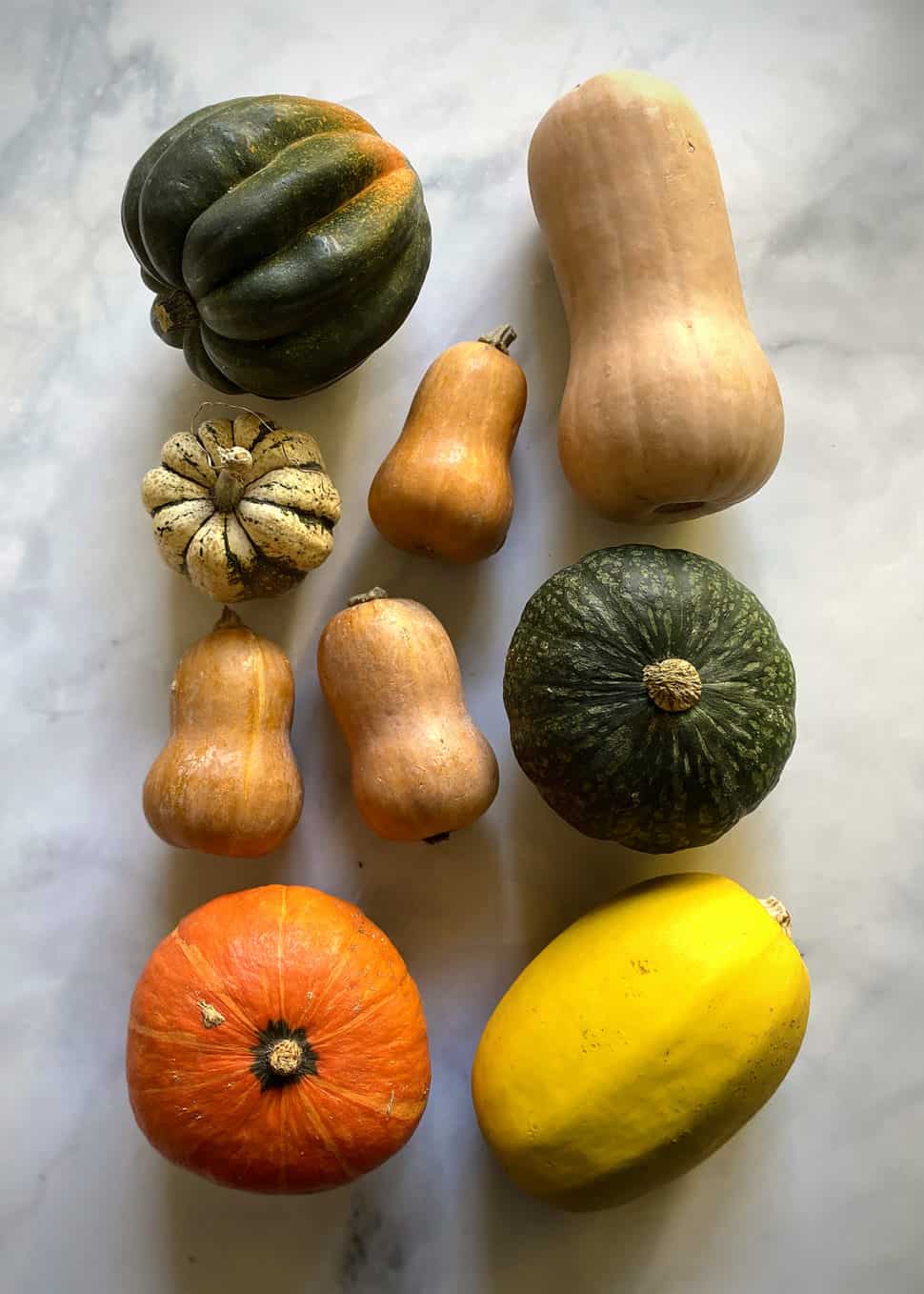 The Best Winter Squash Dishes - and All About Winter Squash ...