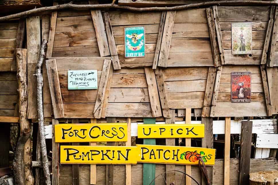 Farm Fun: Fort Cross Cultivates Learning Through Agriculture ...