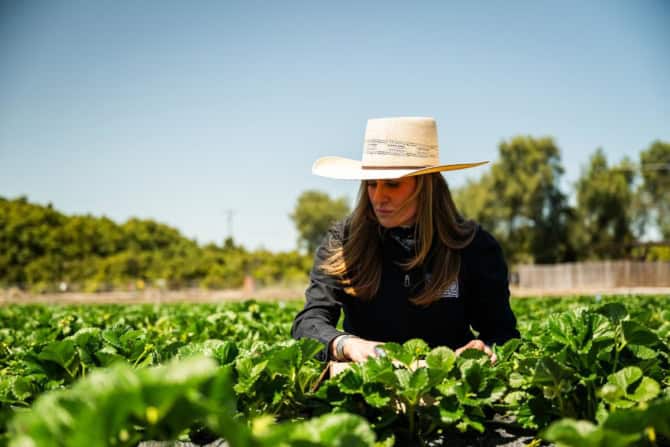 Underwood Family Farms: A Blend of Tradition and Agricultural Innovation - California Grown