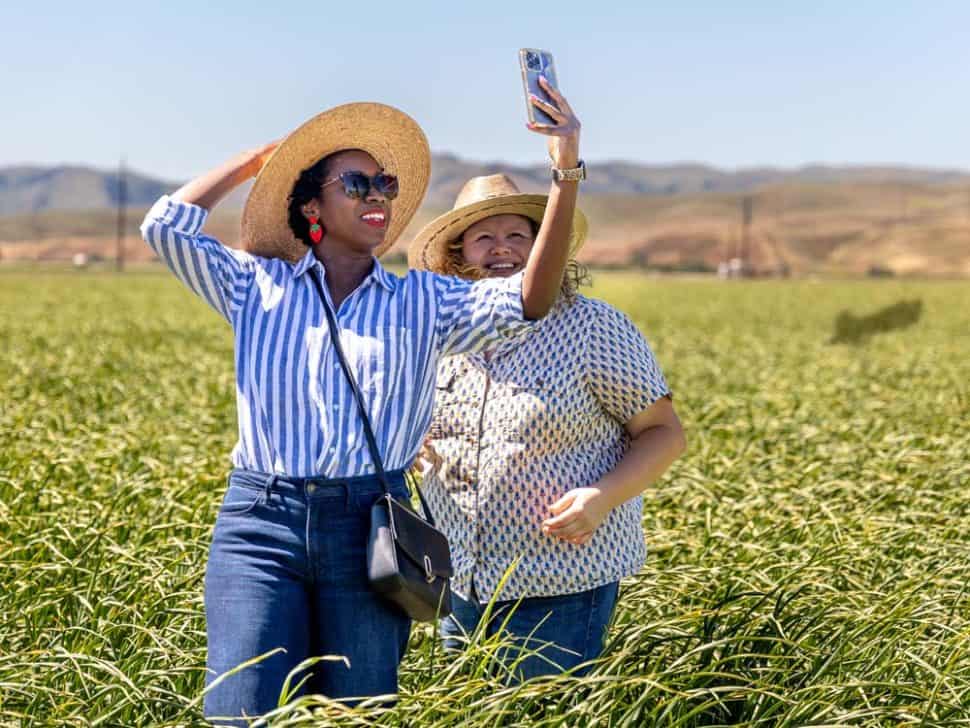How Garlic Is Grown & Processed At Christopher Ranch - California Grown