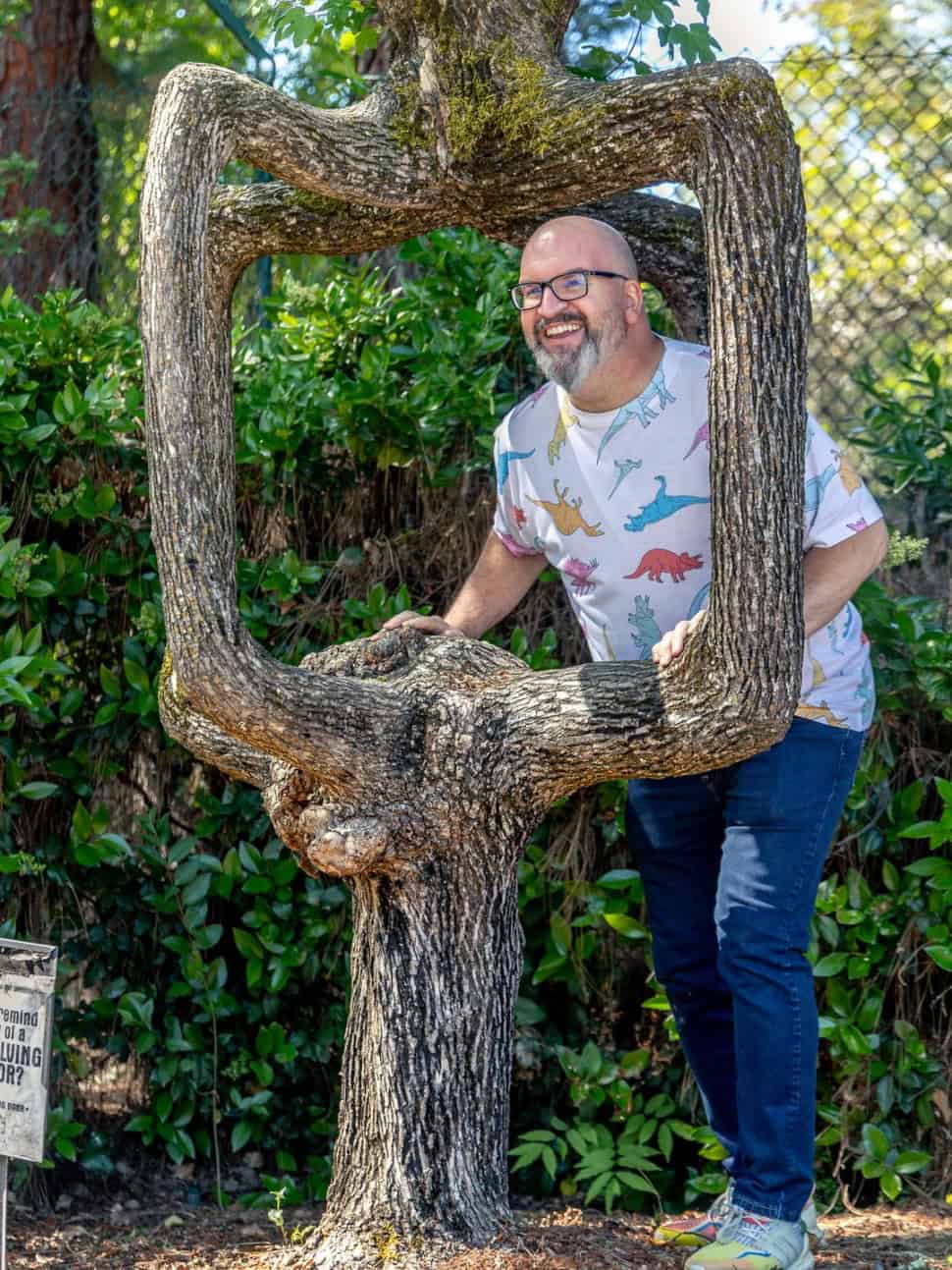 Gilroy Gardens: The Most Thrilling Way to Learn About California ...
