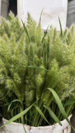 Flower Power! Using Custom Botanical Dresses to Promote Locally Grown ...