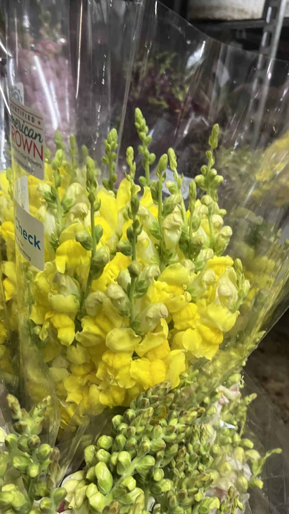 Flower Power! Using Custom Botanical Dresses to Promote Locally Grown ...