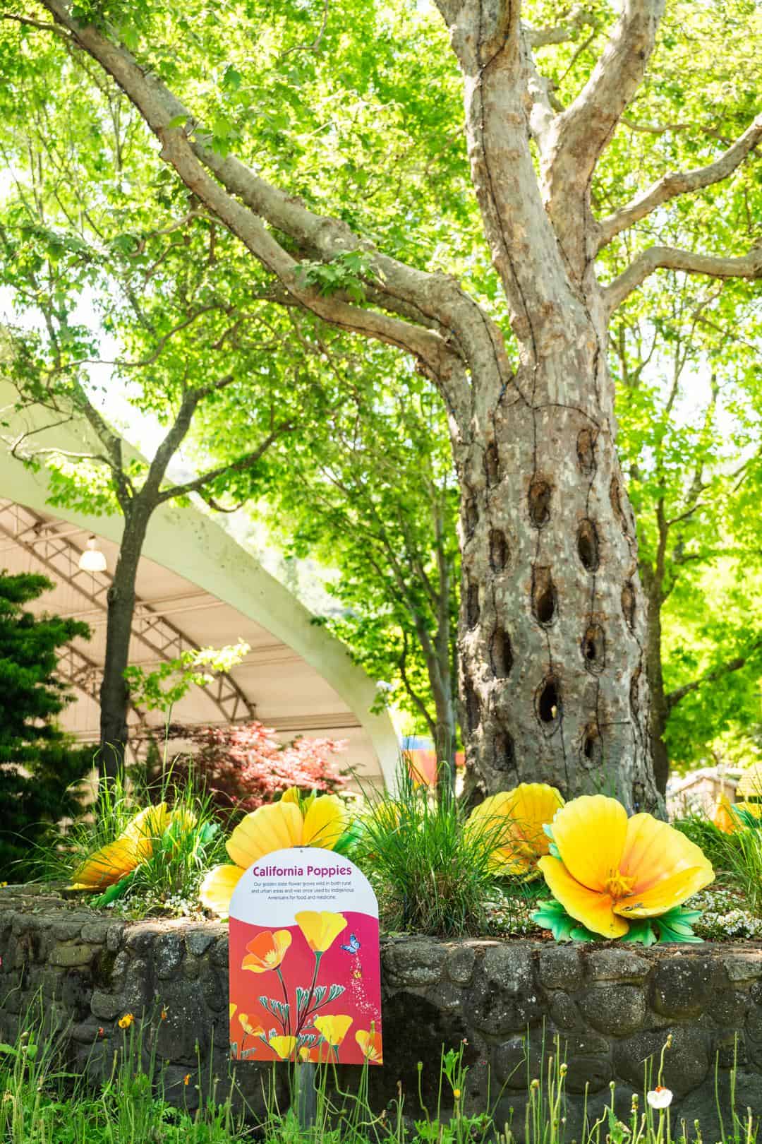 Gilroy Gardens: The Most Thrilling Way to Learn About California ...