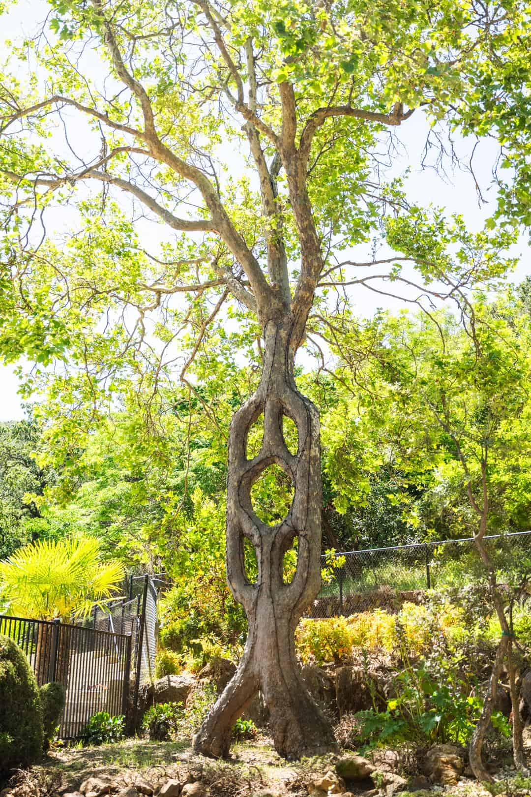 Gilroy Gardens: The Most Thrilling Way to Learn About California ...