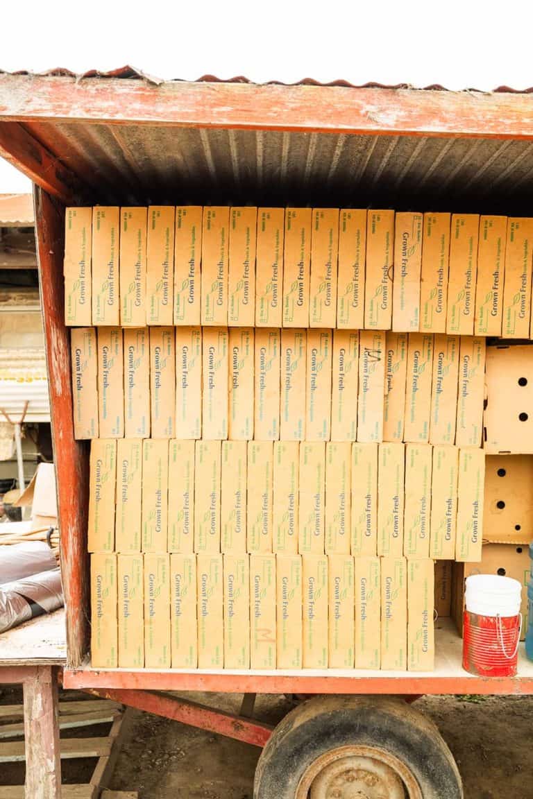 Golden Raspberries: The Most Unique Raspberry in California ...