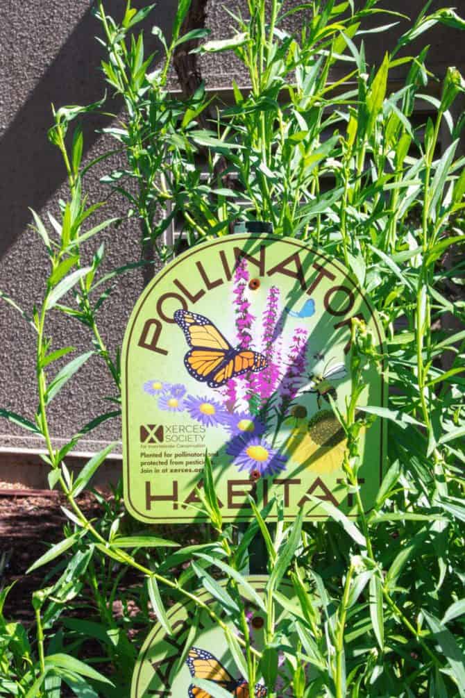 Merry Edwards Winery: Wines from the Iconic Russian River Valley ...