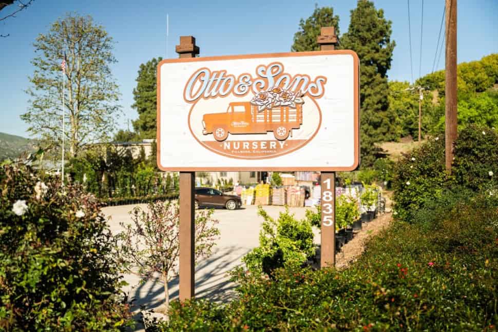 Otto and Sons Nursery: Inspiring Green Thumbs and Lush Gardens for ...