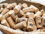 What is cork and how is it harvested? - California Grown