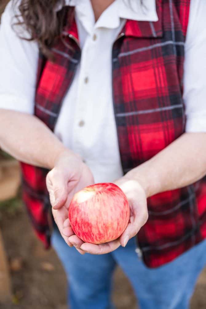 Gowan's Heirloom Cider from Bud to Bottle - California Grown